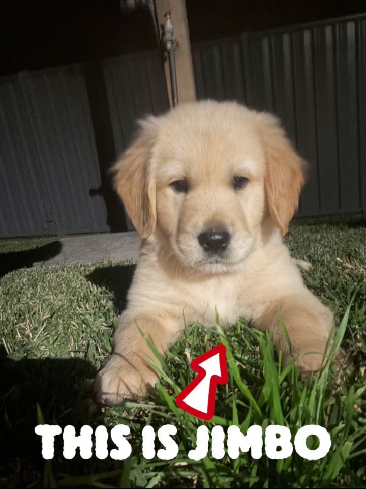 Real Schools - Consistent, Persistent, Insistent